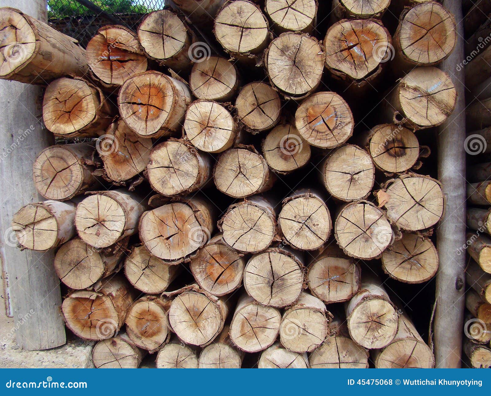 Madera Apilada Del Pino De La Clase Foto de archivo - Imagen de campo ...