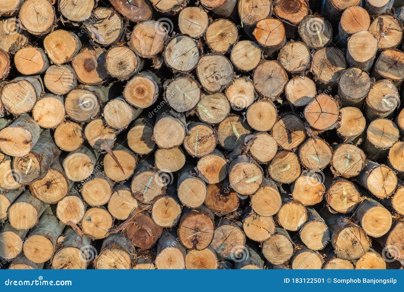 Madera Apilada Para La Industria Forestal Imagen de archivo - Imagen de ...