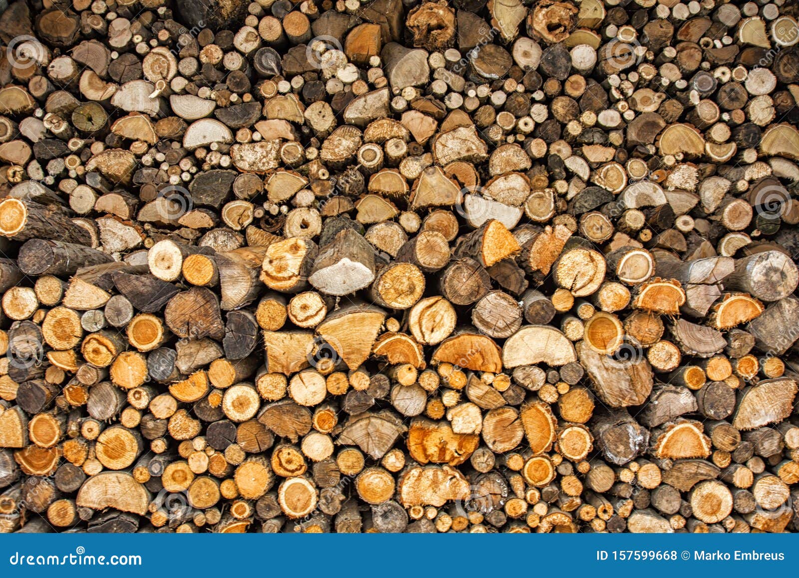Madera apilada, troceada foto de archivo. Imagen de crudo - 157599668