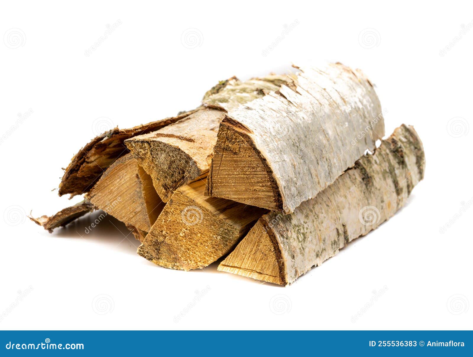 Madera De Abedul Aislada En Un Fondo Blanco Imagen de archivo - Imagen ...