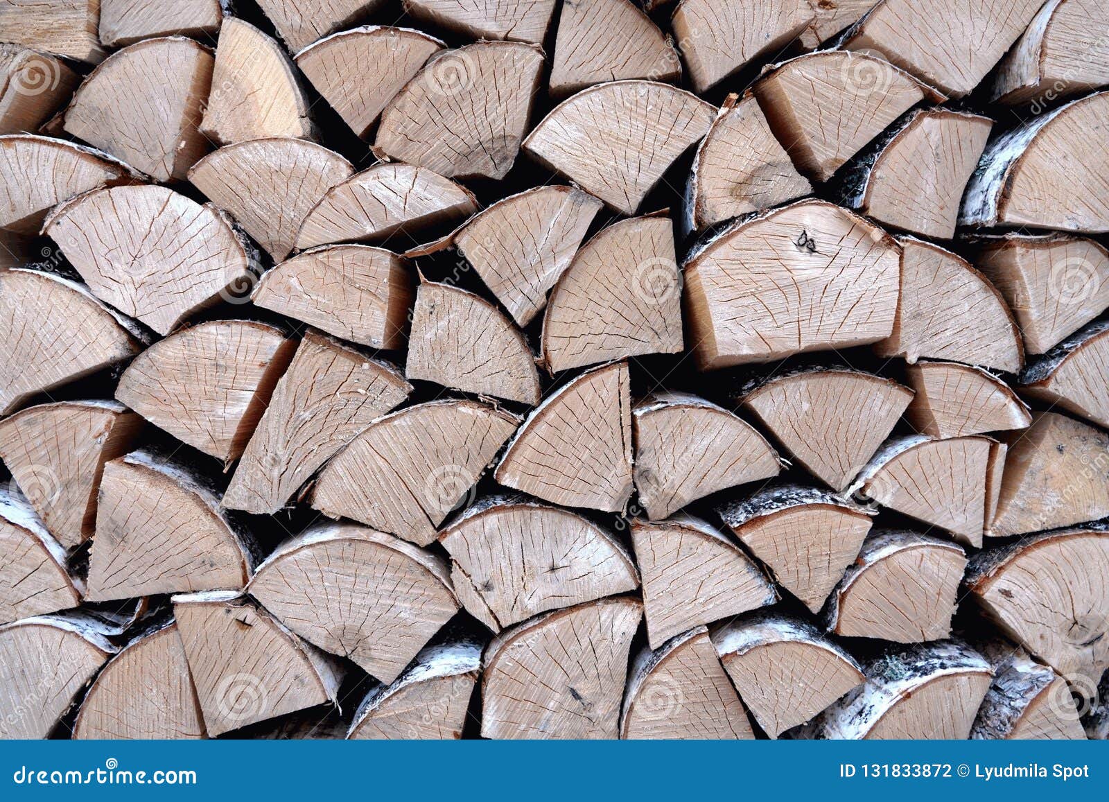 Madera De Abedul En El Woodpile Foto de archivo - Imagen de madera ...