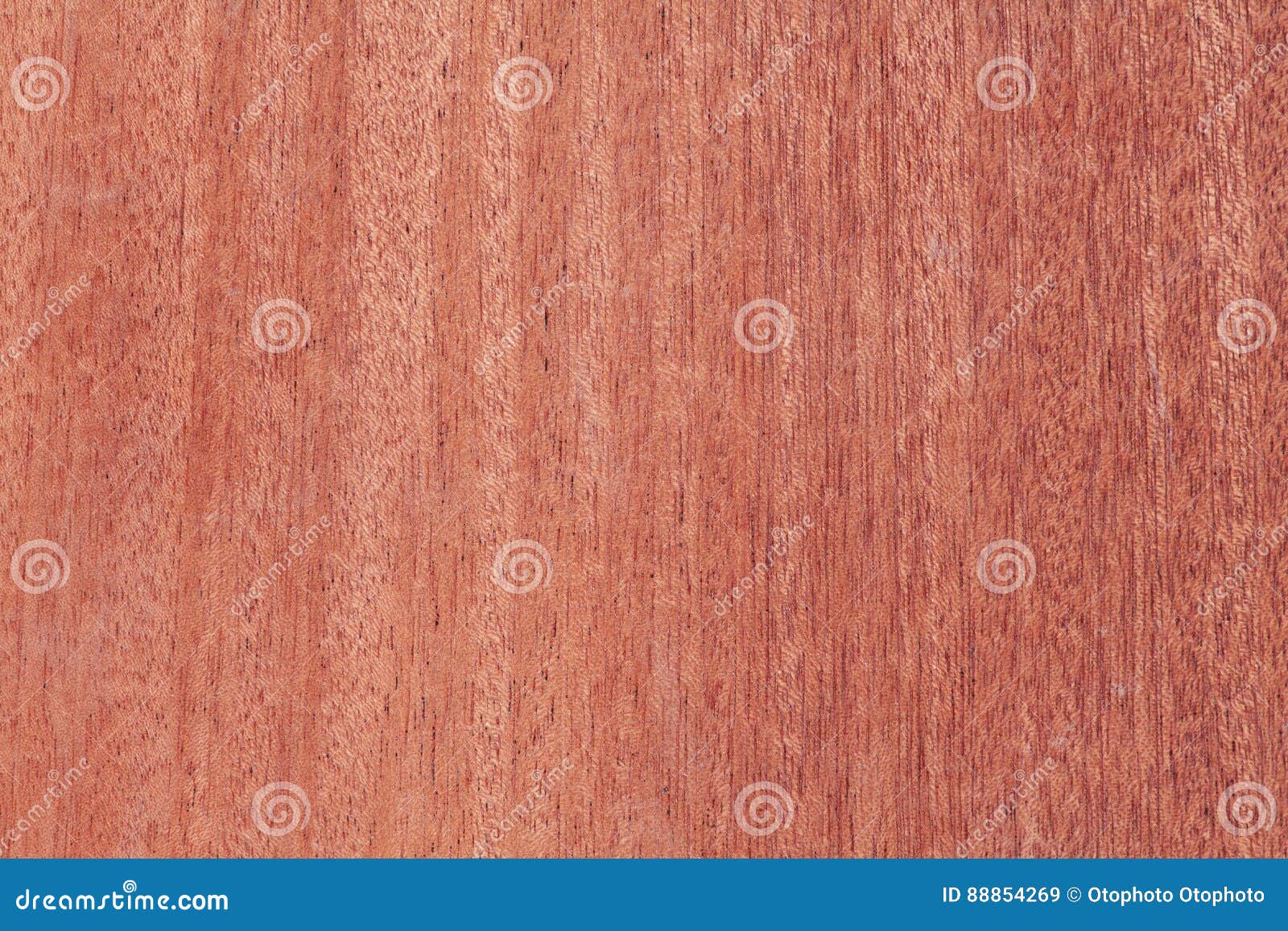 Madera de caoba imagen de archivo. Imagen de interior - 88854269