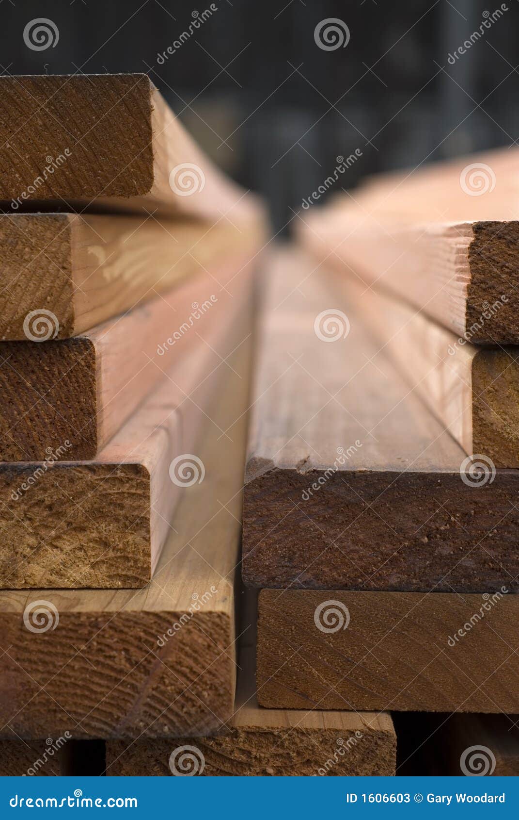 Madera De Construcción De La Secoya Imagen de archivo - Imagen de ...