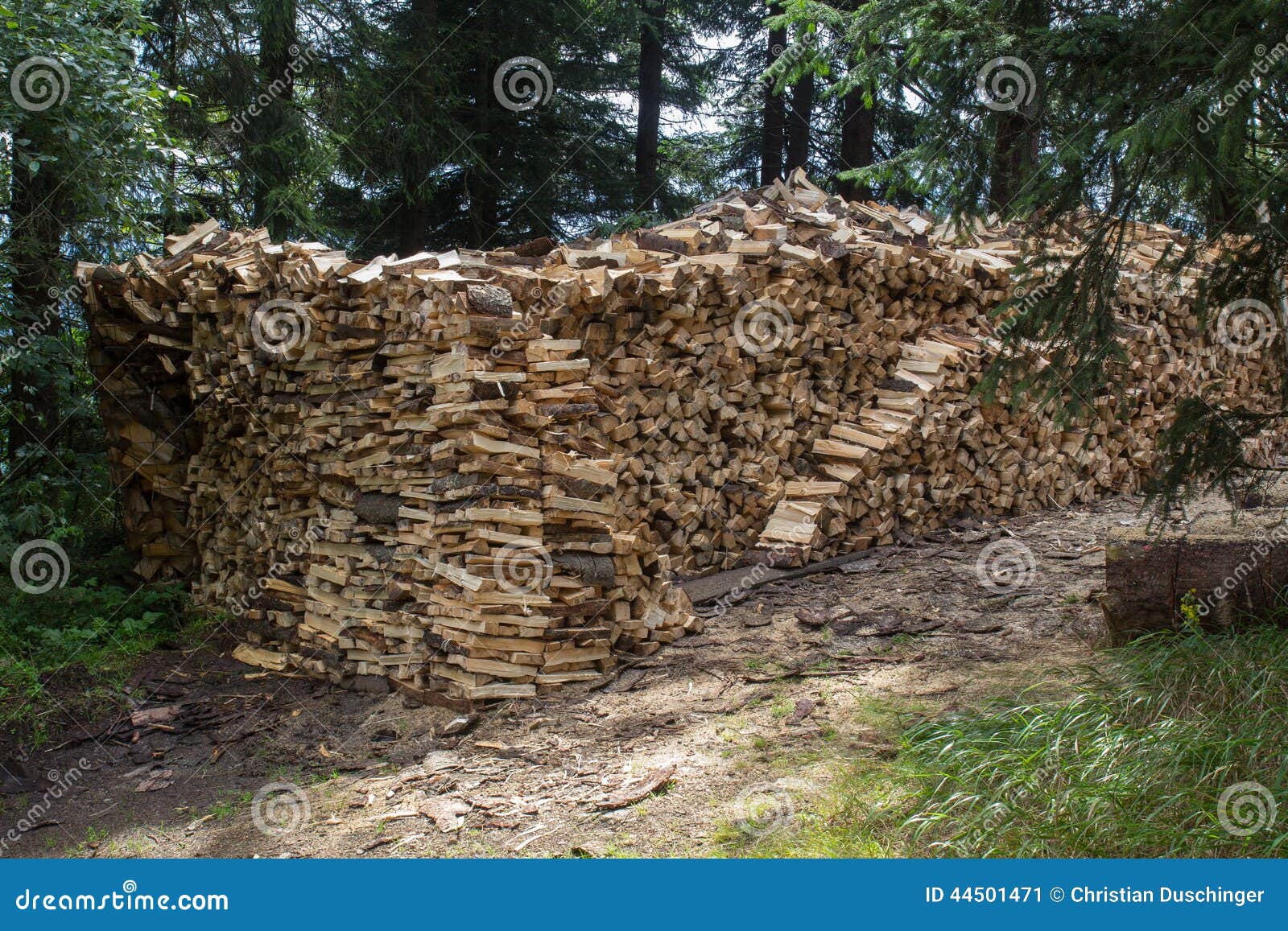 Madera De Madera Apilada Del Pino Imagen de archivo - Imagen de ...