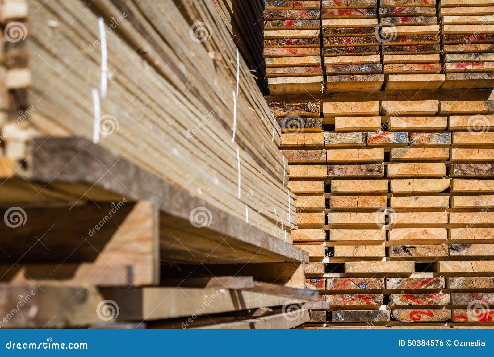 Madera De Madera Apilada Del Pino Foto de archivo - Imagen de ...