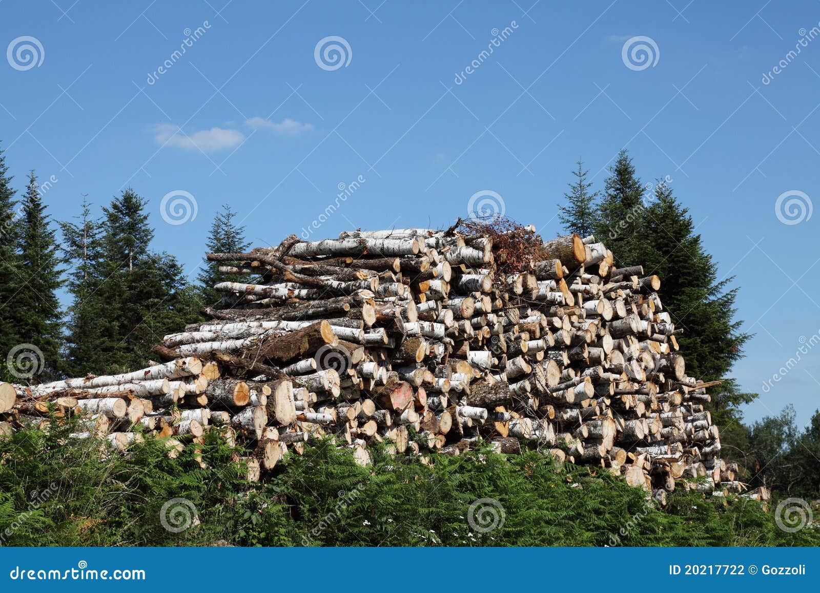 Madera De Madera De Recursos Naturales Foto de archivo - Imagen de ...