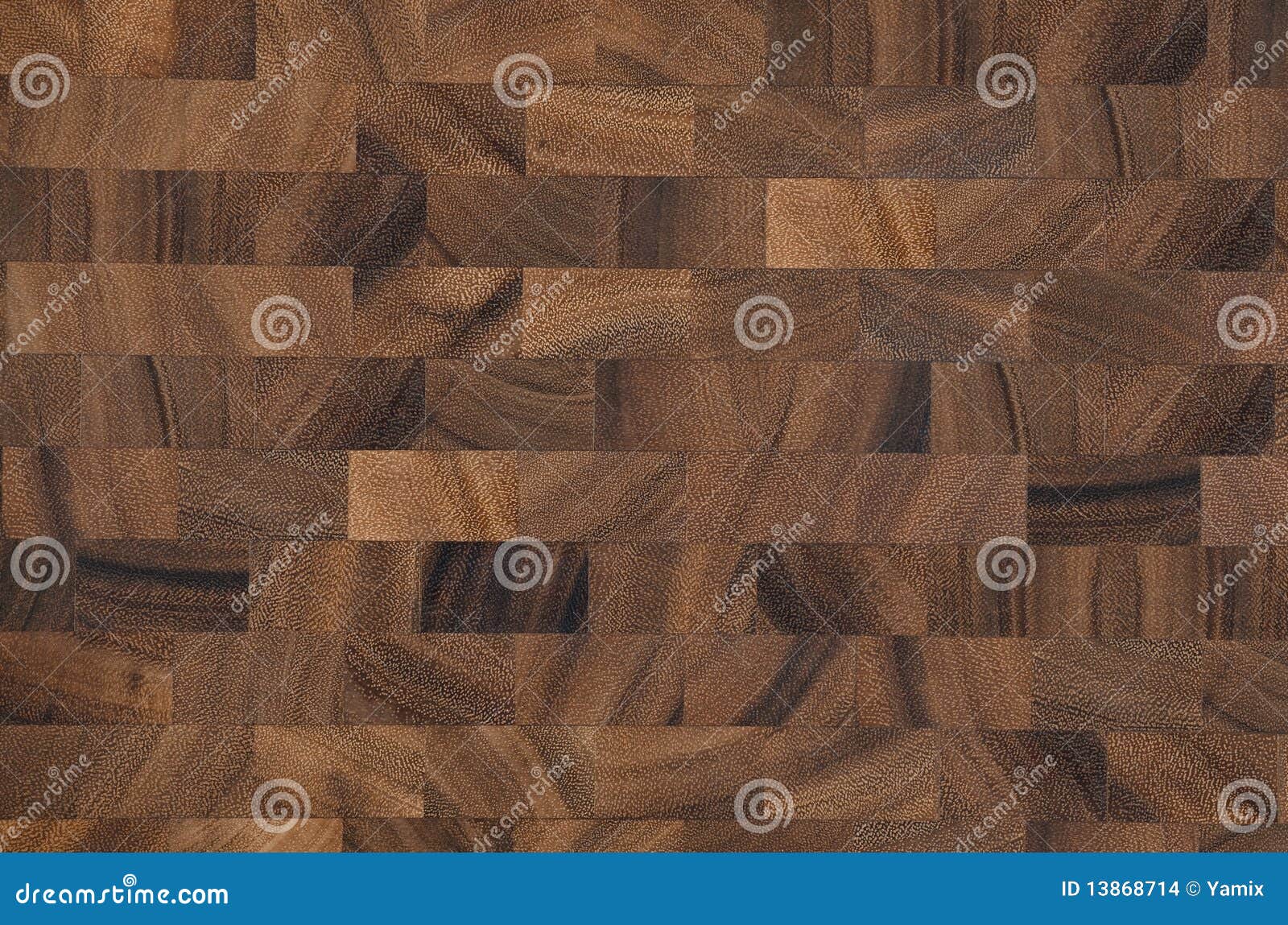 Madera del acacia foto de archivo. Imagen de estudio - 13868714