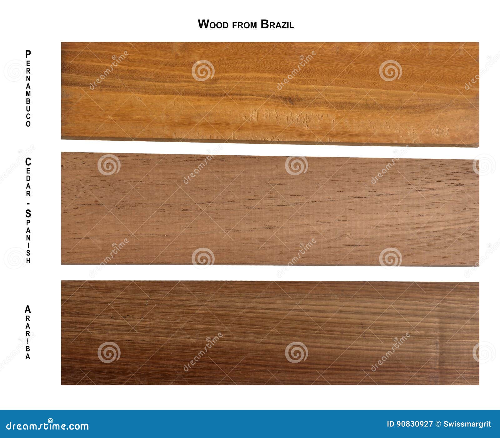Madera del Brasil imagen de archivo. Imagen de modelo - 90830927