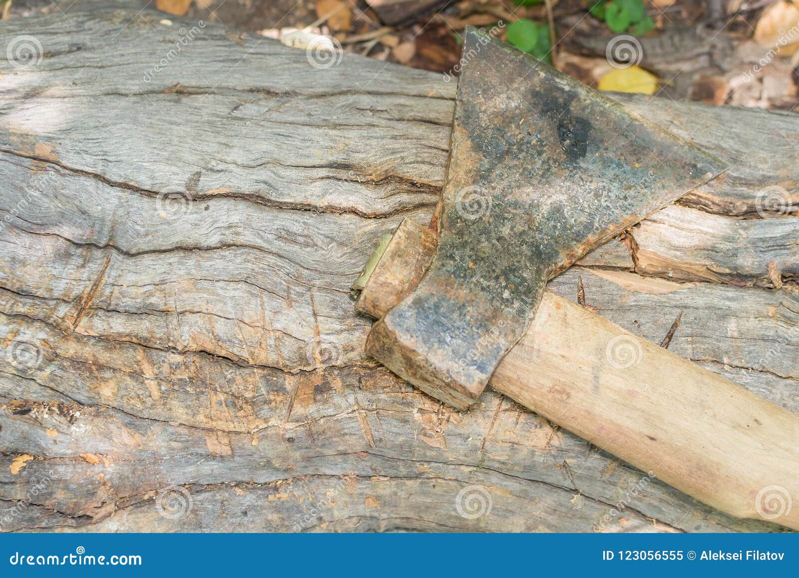 Madera Del Corte Con Un Hacha Imagen de archivo - Imagen de blanco ...
