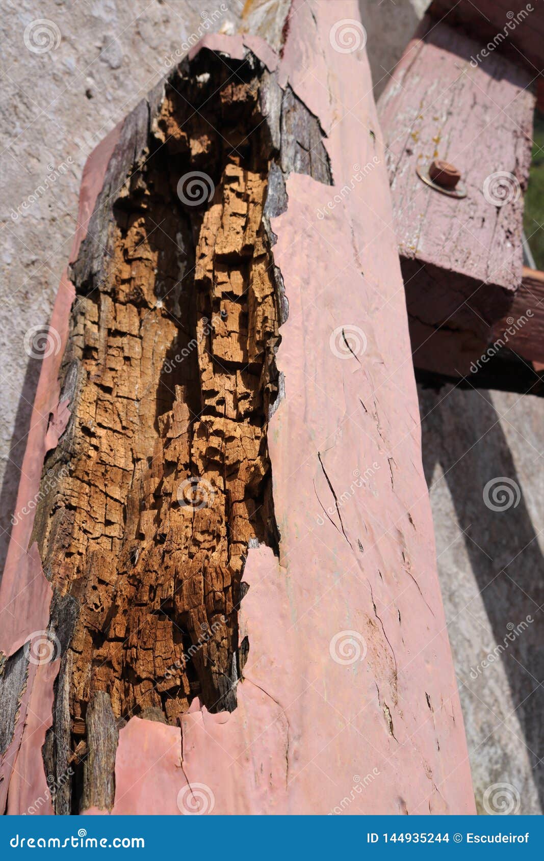 Madera Putrefacta En El Edificio Viejo Foto de archivo - Imagen de ...