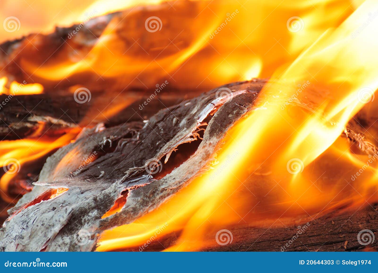 Madera Que Quema En El Fuego Imagen de archivo - Imagen de fogata ...