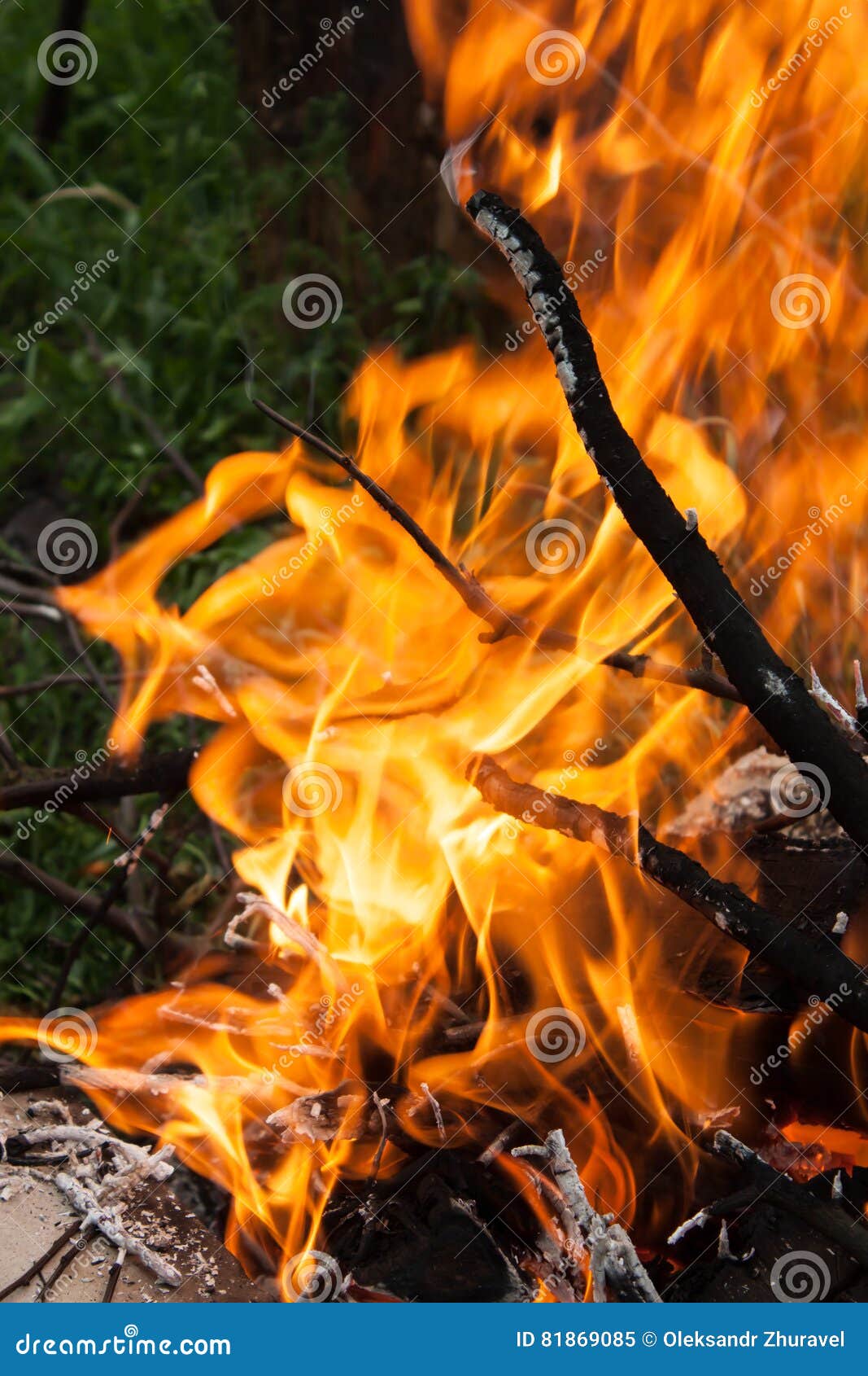 Madera Que Quema En El Fuego Imagen de archivo - Imagen de fuego ...