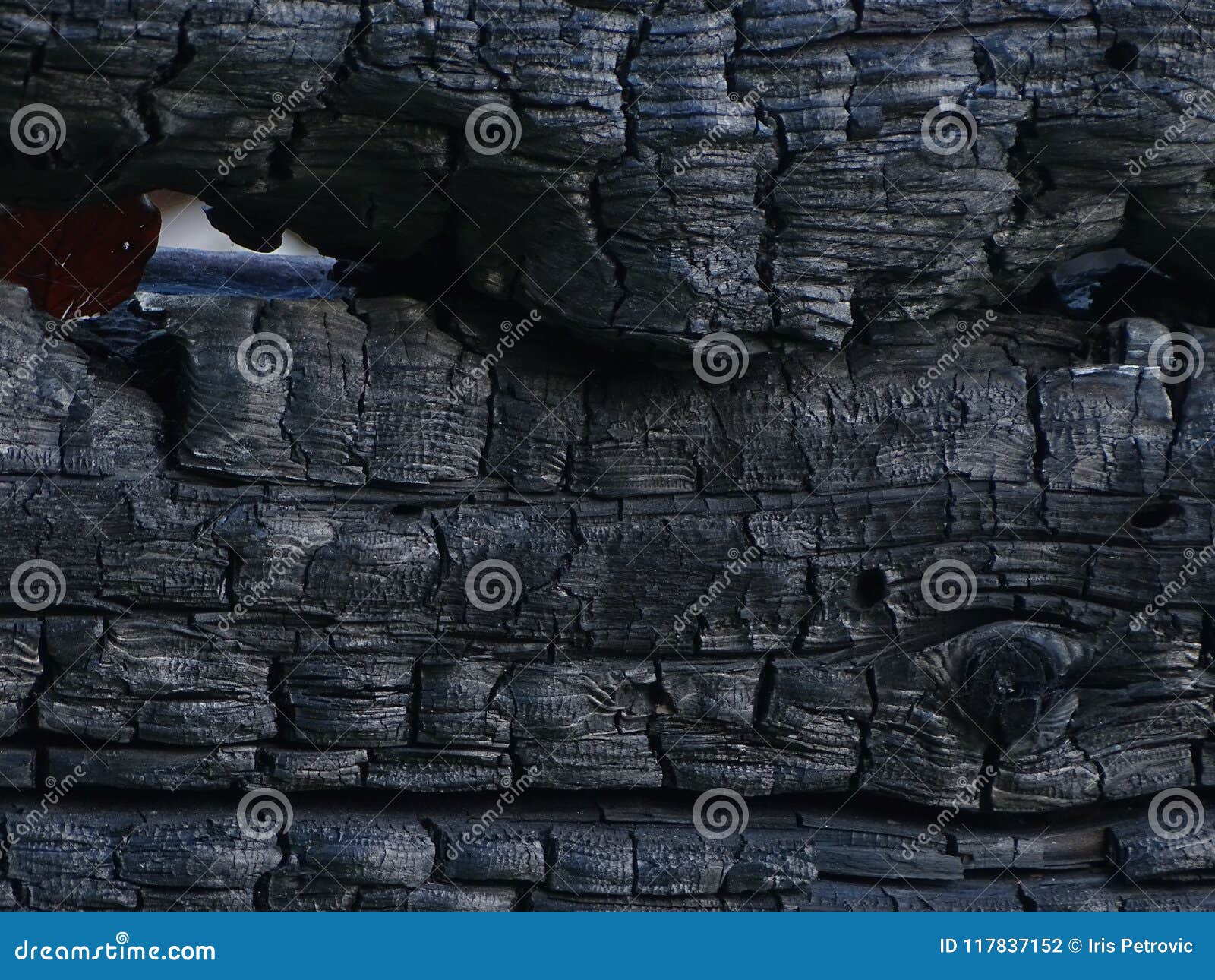 Madera quemada foto de archivo. Imagen de presentar - 117837152