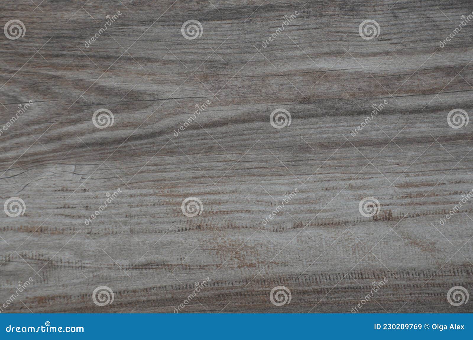 Madera Textura De Madera Fondo Madera Gris Imagen de archivo - Imagen ...