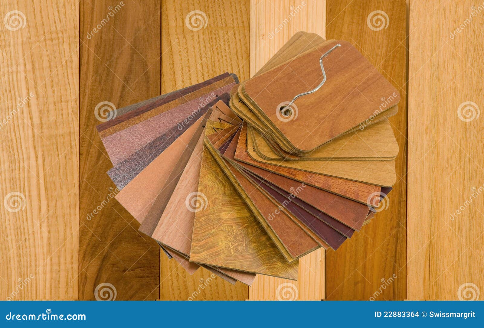 Madera Verdadera Y Muestras Laminadas Foto de archivo - Imagen de ...