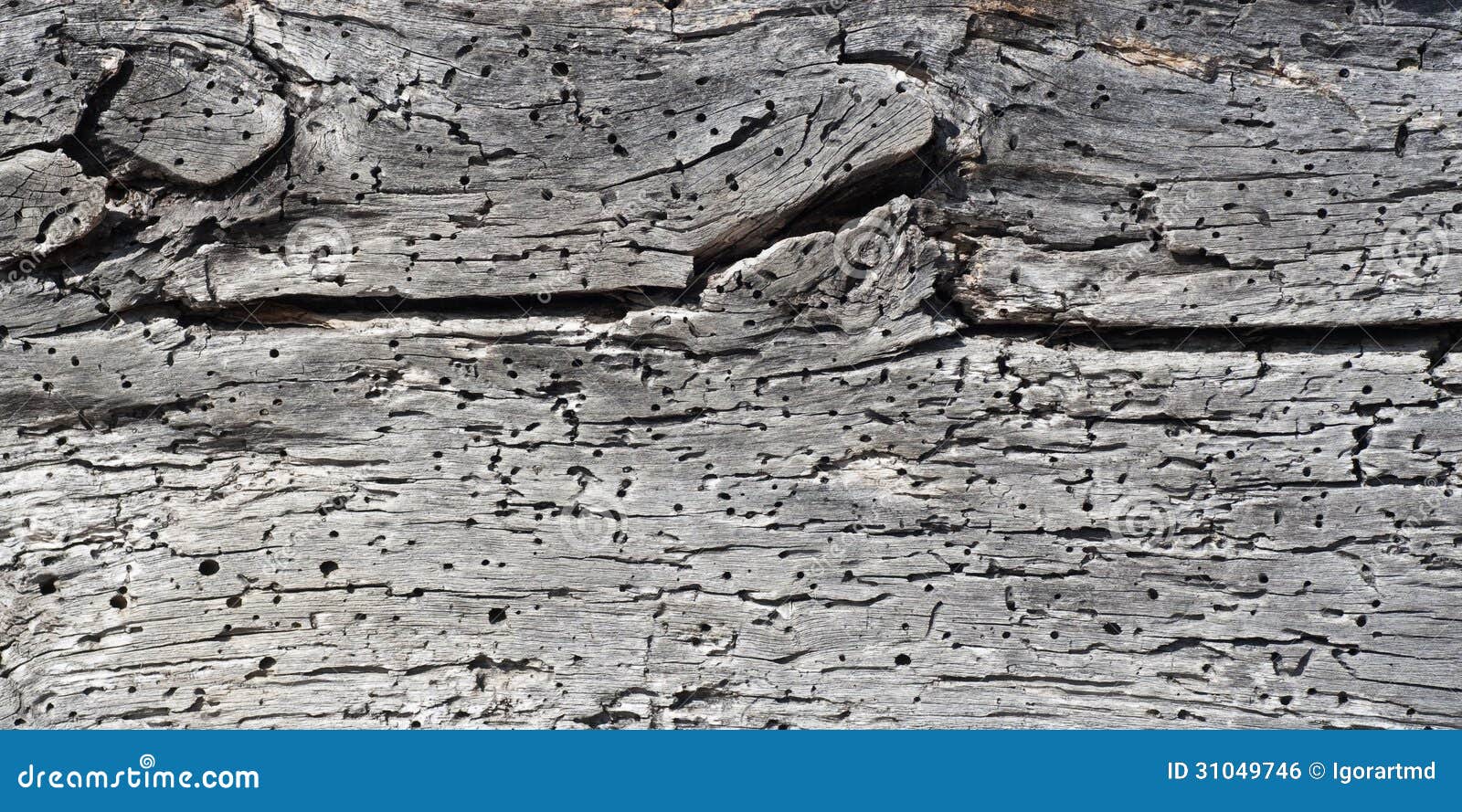 Madera vieja foto de archivo. Imagen de corte, antigüedad - 31049746