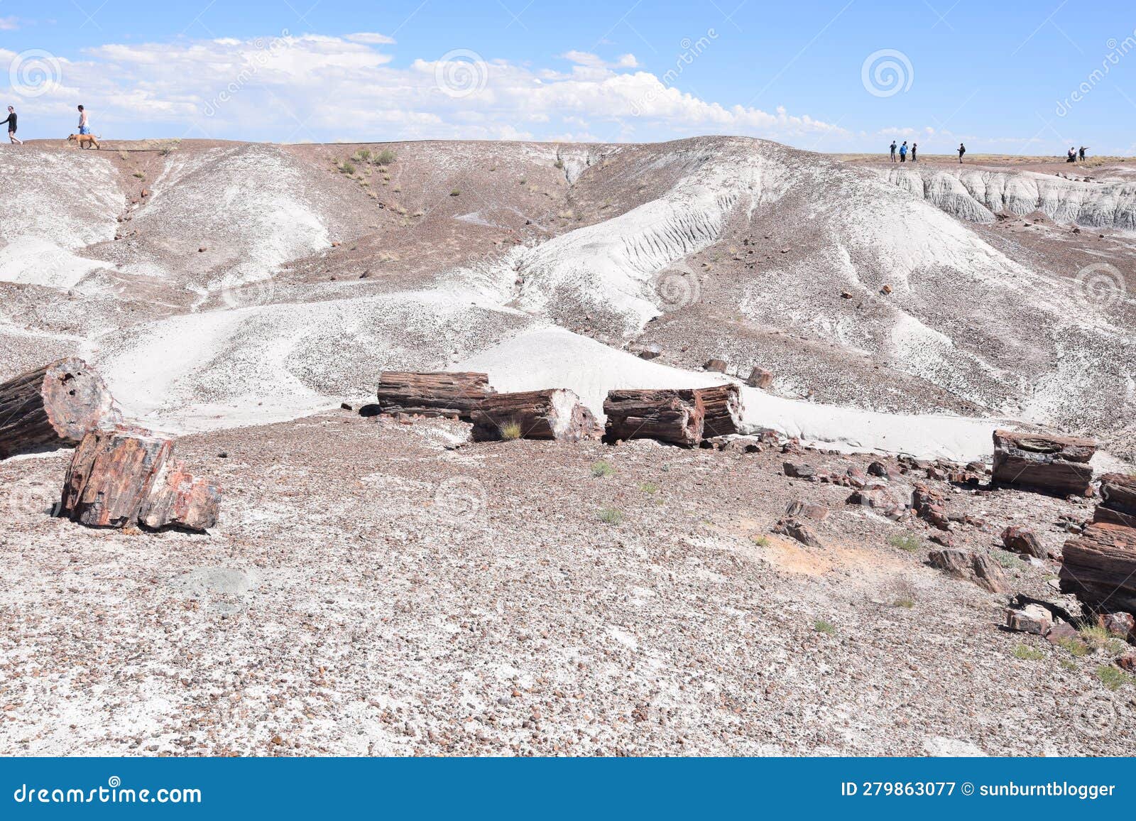 Maderas Petrificadas Arizona Fotografía editorial - Imagen de parque ...
