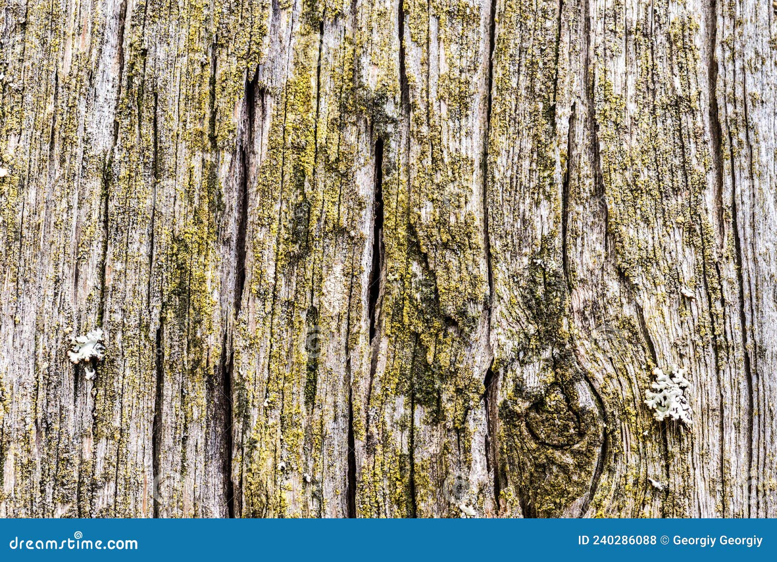 Maderas rotas antiguas foto de archivo. Imagen de fractura - 240286088