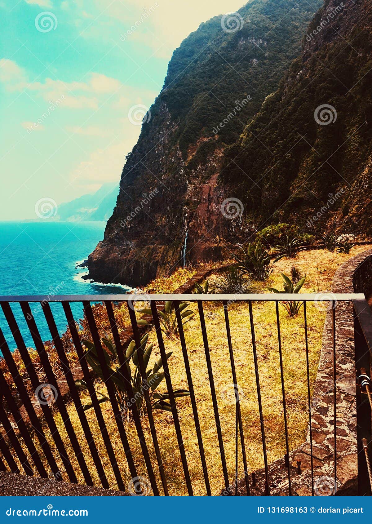 Maderia stock image. Image of natural, maderia, forest - 131698163