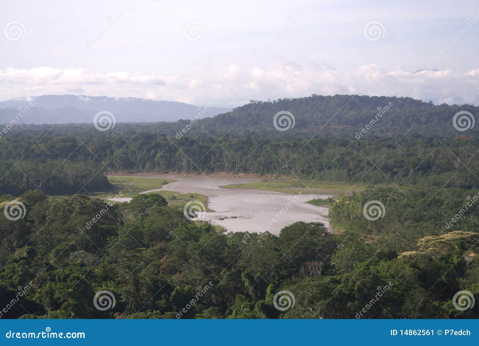 Madidi National Park, Bolivia Stock Image - Image of protected, beni ...