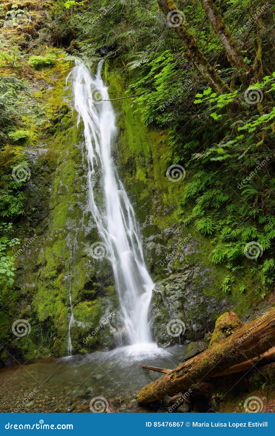 Madison Falls, Olympic National Park Stock Image - Image of nature ...