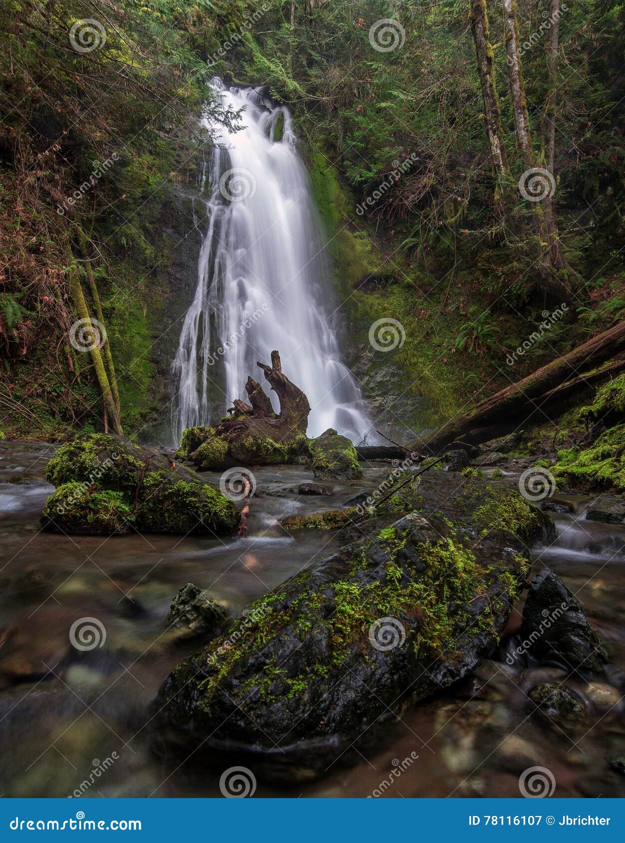 Madison Falls, Olympic National Park Royalty-Free Stock Photo ...