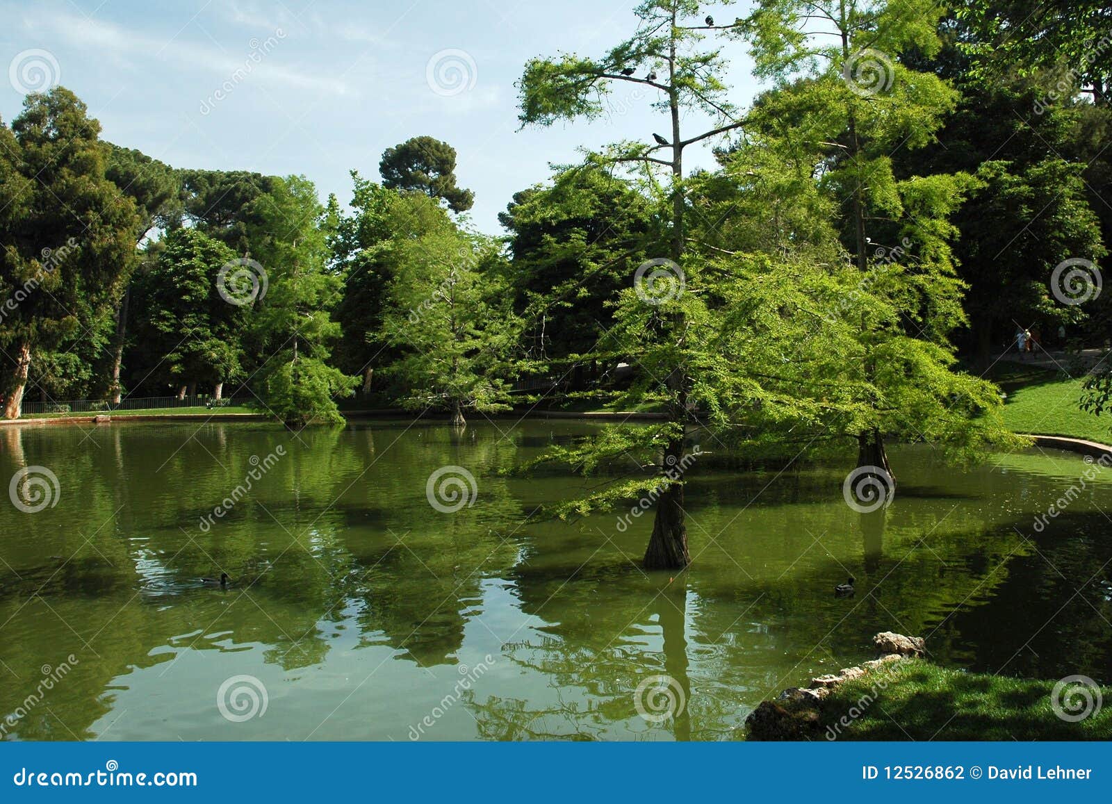 Madrid park stock photo. Image of reflection, spain, trees - 12526862