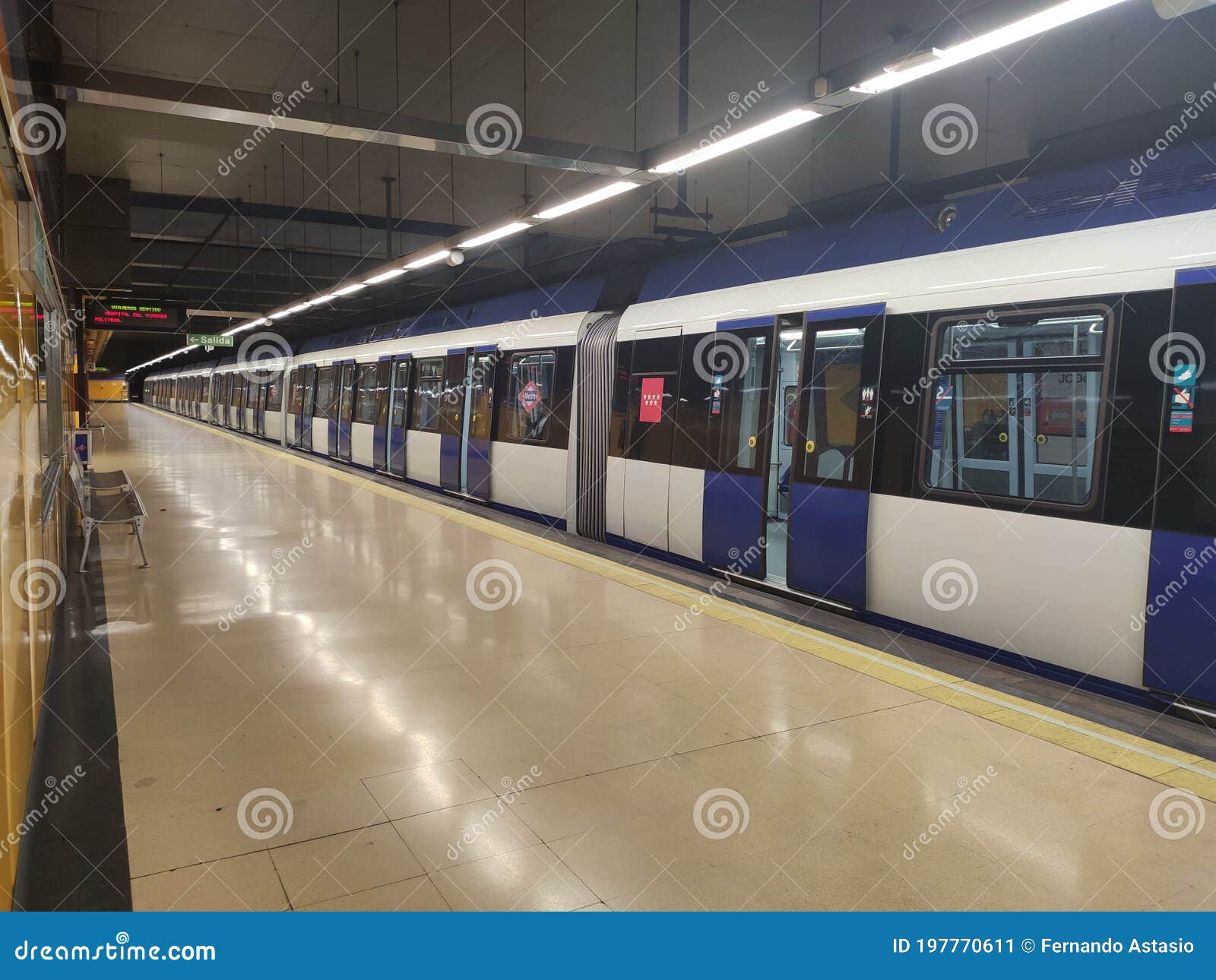 Inside Metro Station with the Train on the Platform. Editorial Photo ...