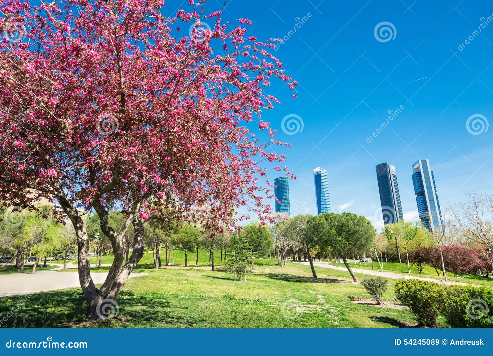 Madrid in spring stock image. Image of park, spring, landmark - 54245089