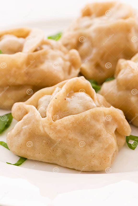 Madu stock photo. Image of mandu, ground, leek, bean - 12457846