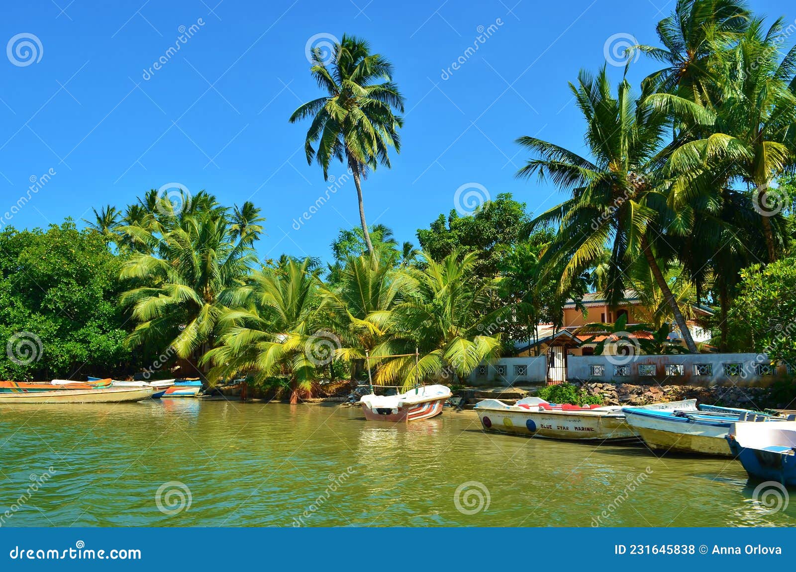 Madu Ganga River in Sri Lanka Editorial Stock Photo - Image of summer ...