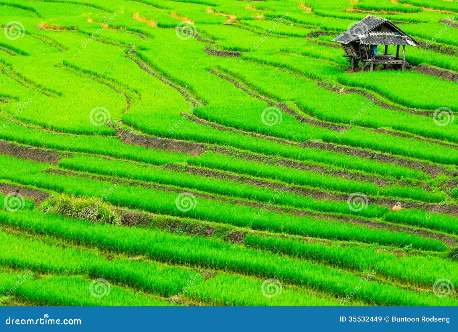 Mae Chaem 2 stock image. Image of country, chiang, details - 35532449