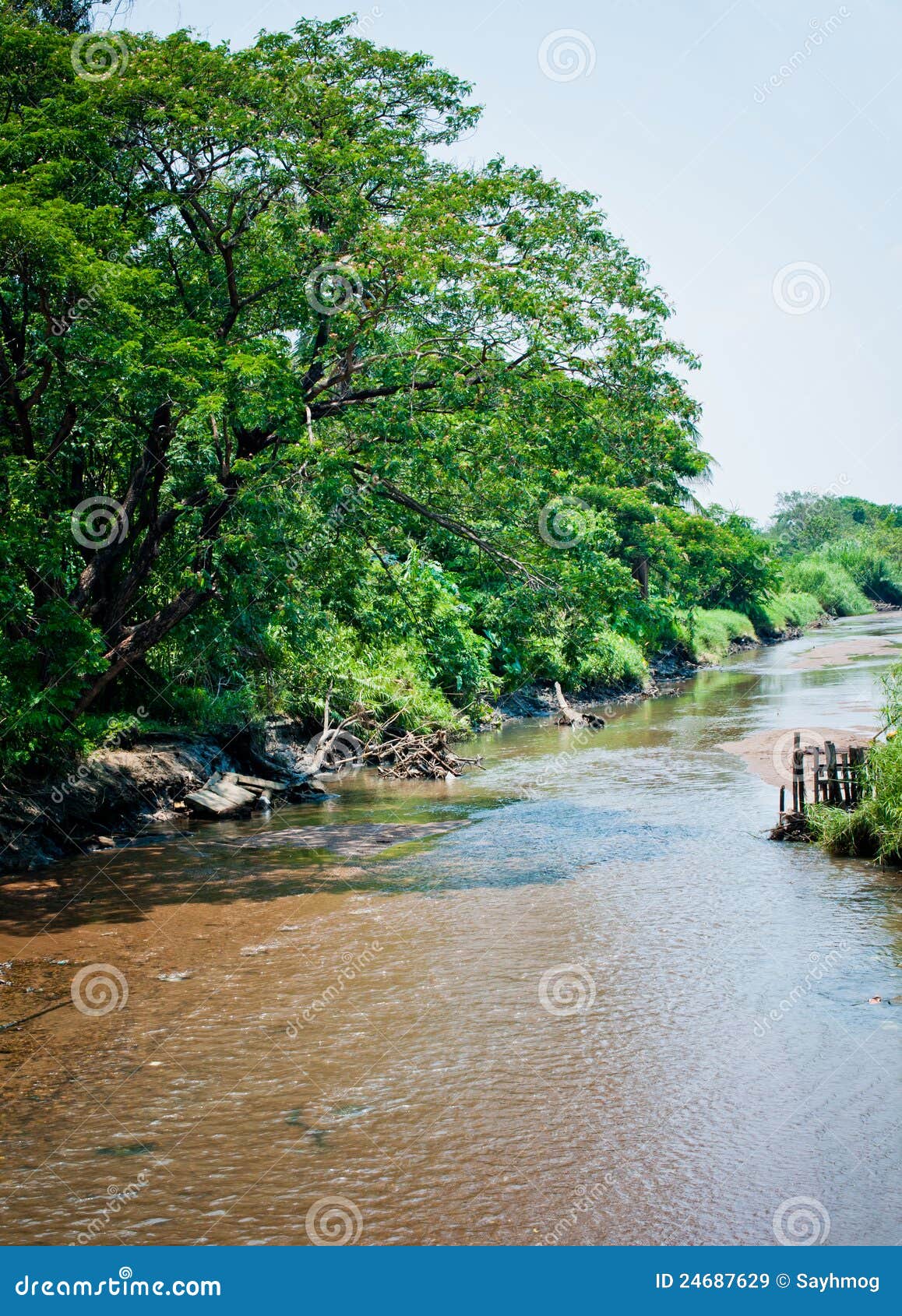 Mae Ping River stock image. Image of motion, river, wilderness - 24687629
