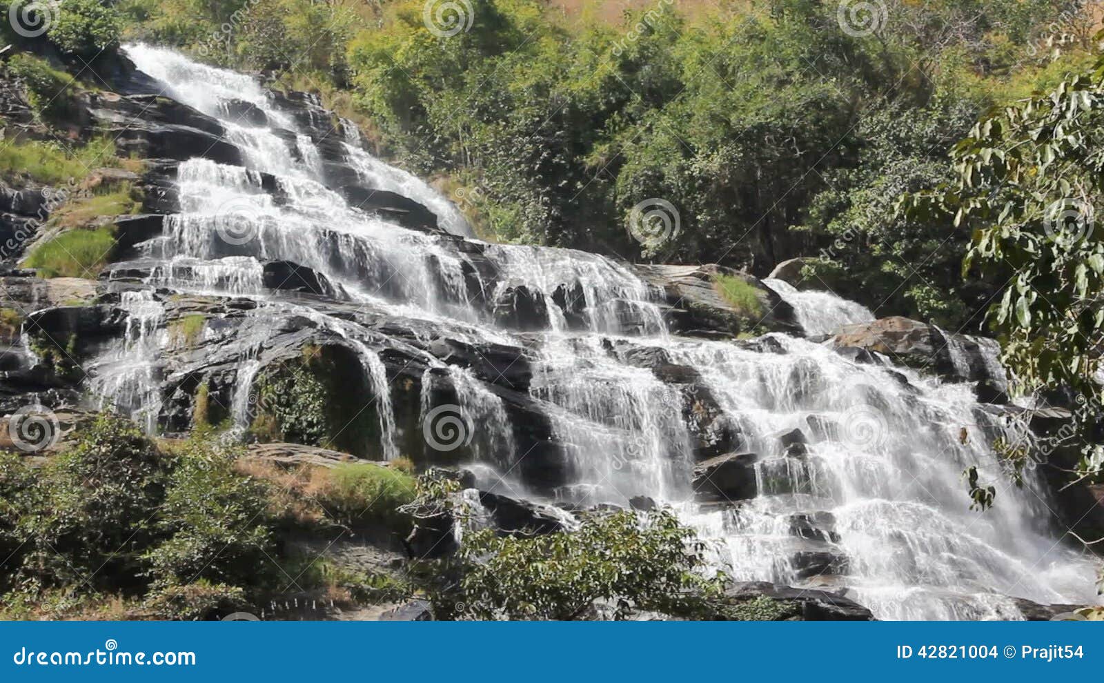 Mae Ya瀑布 影视素材. 视频 包括有 增长, 工厂, 石头, 自然, 森林, 叶子, 飞溅, 冷静 - 42821004