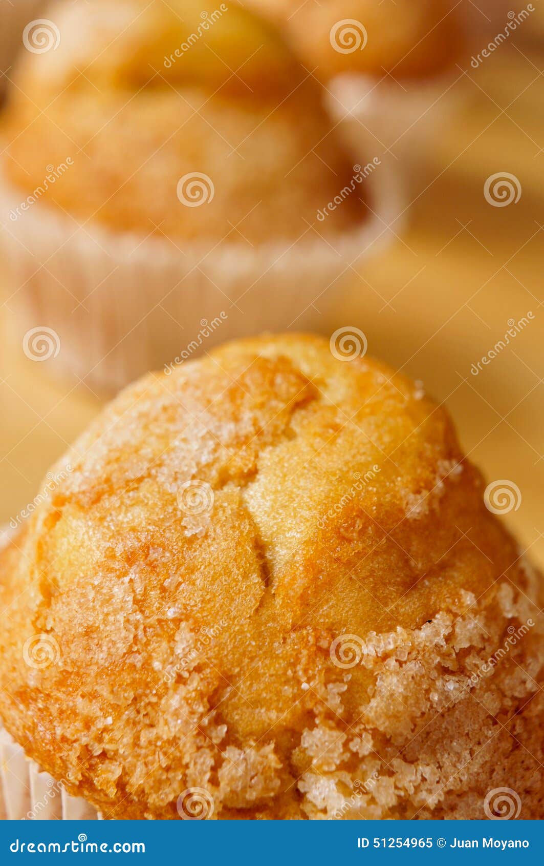 Magdalenas, Typical Spanish Plain Muffins Stock Image - Image of ...