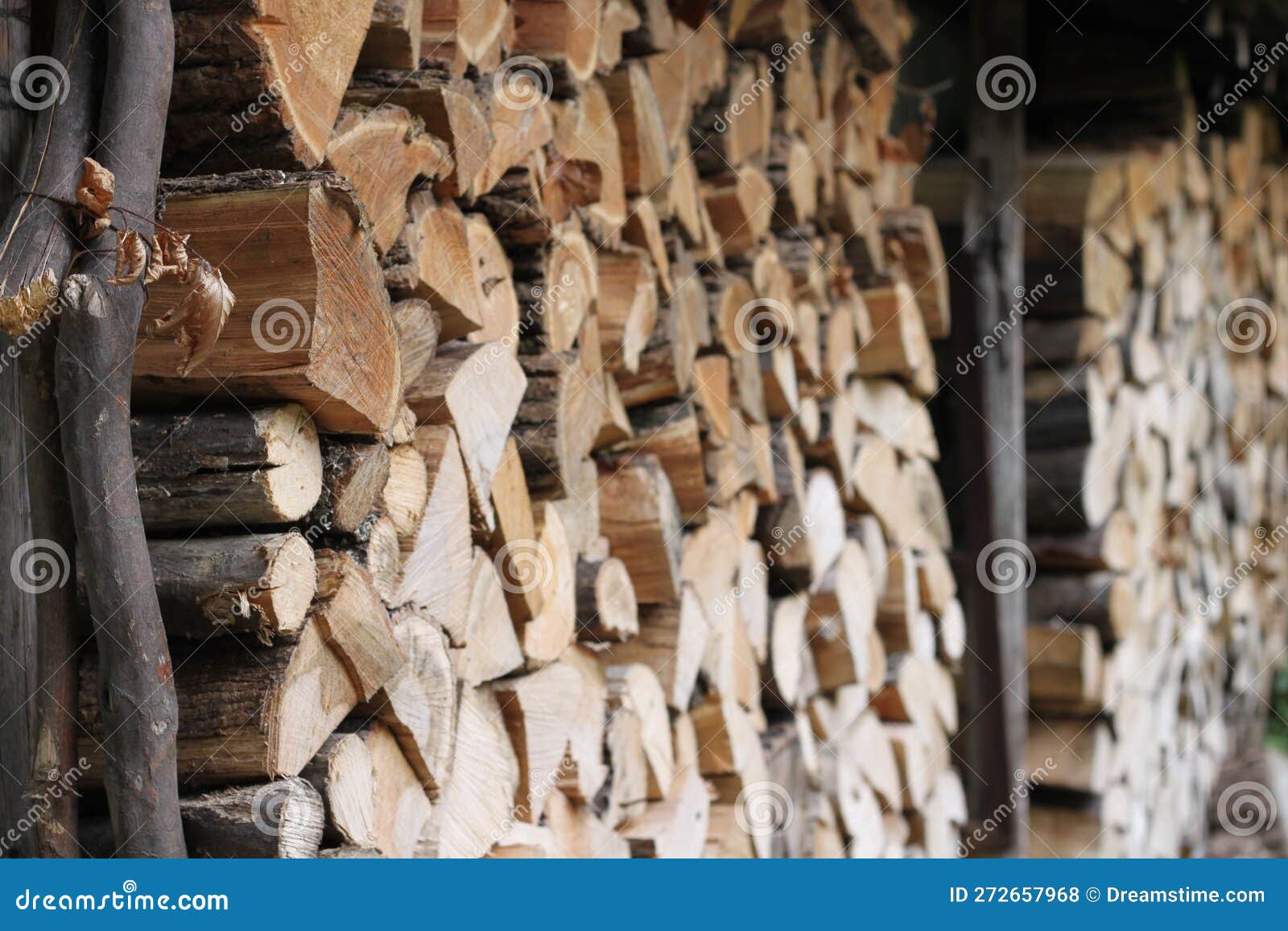 Mage of a Wood Stack Filled with Logs of Various Sizes Stock Photo ...