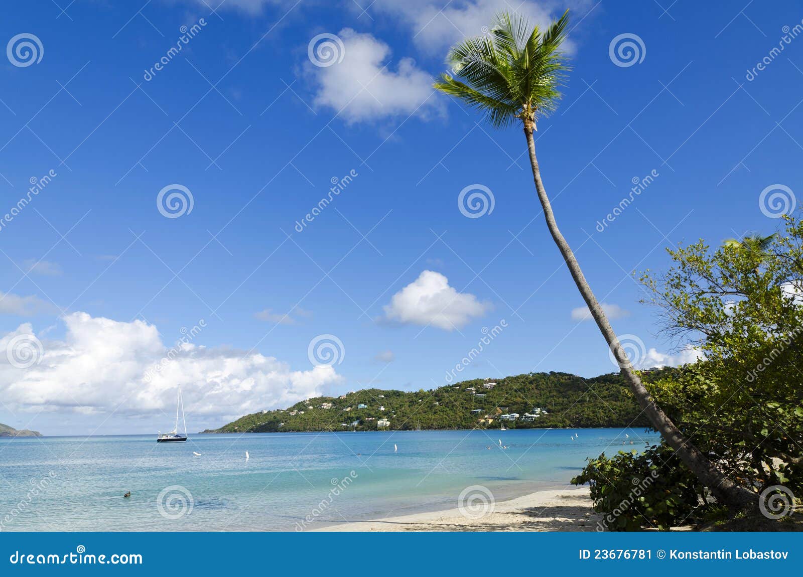 Magens Bay Beach In Saint Thomas Stock Photography | CartoonDealer.com ...