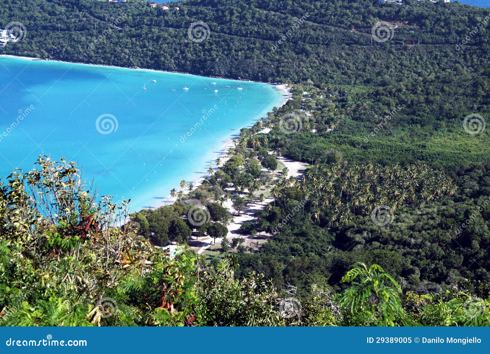 Magens bay beach stock image. Image of paradise, beach - 29389005