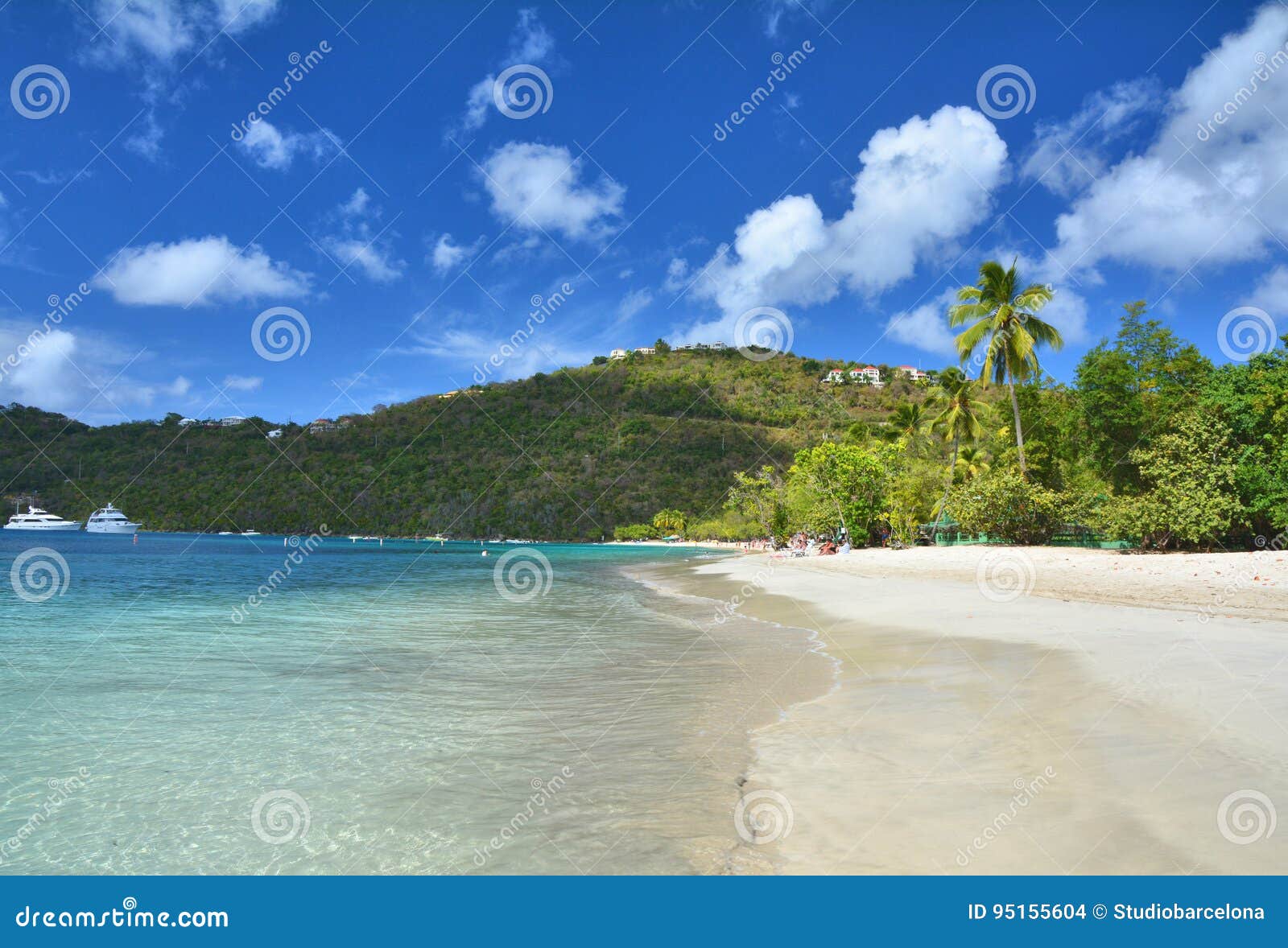 Magens Bay beach editorial stock image. Image of island - 95155604