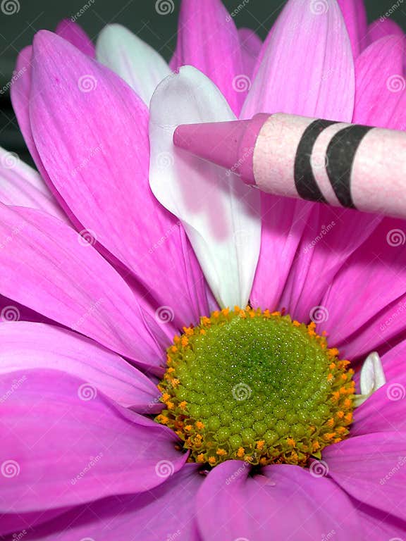 Magenta stock image. Image of artistic, creative, magenta - 190881