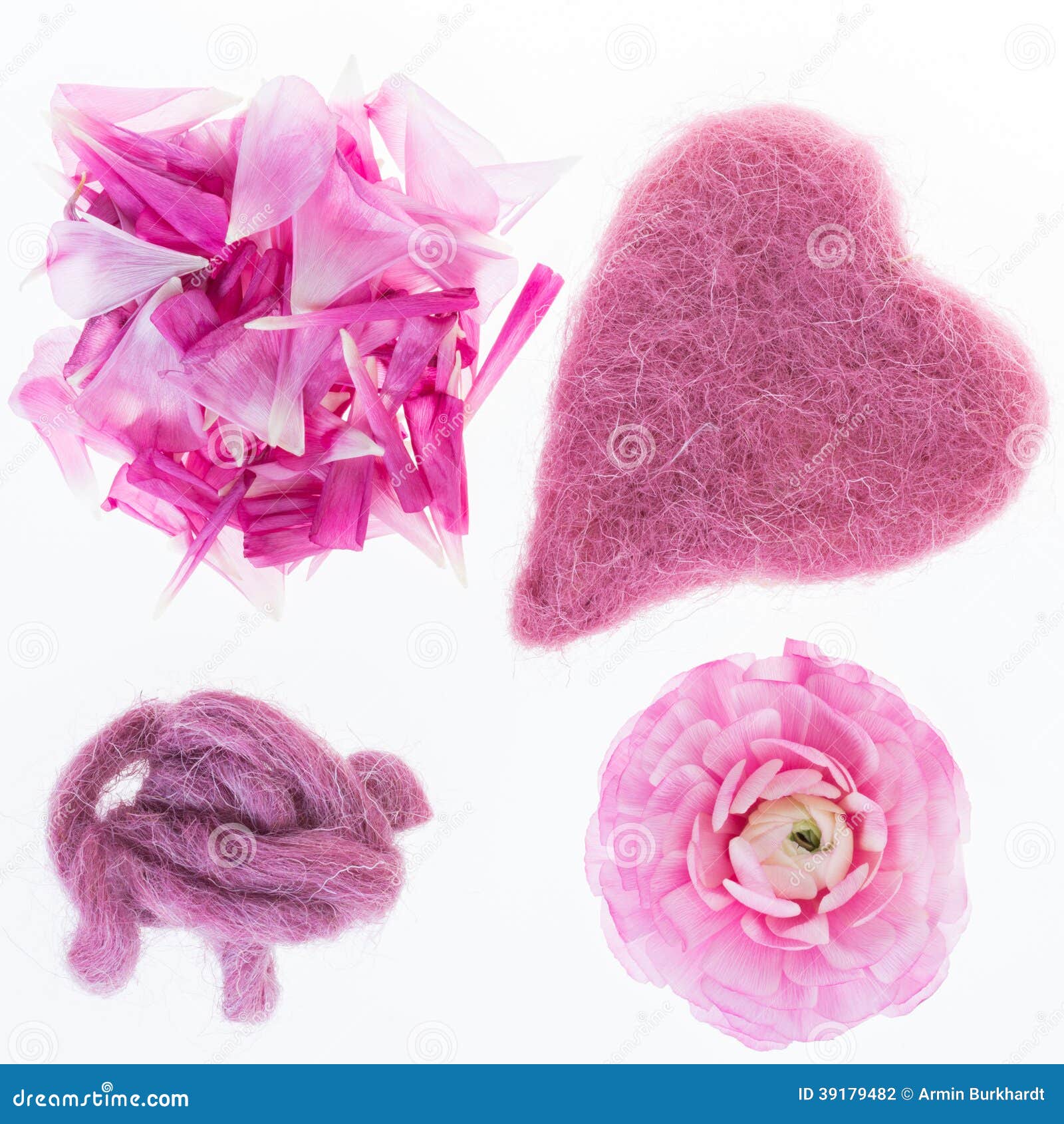 Magenta colored stock photo. Image of knit, flora, bright - 39179482