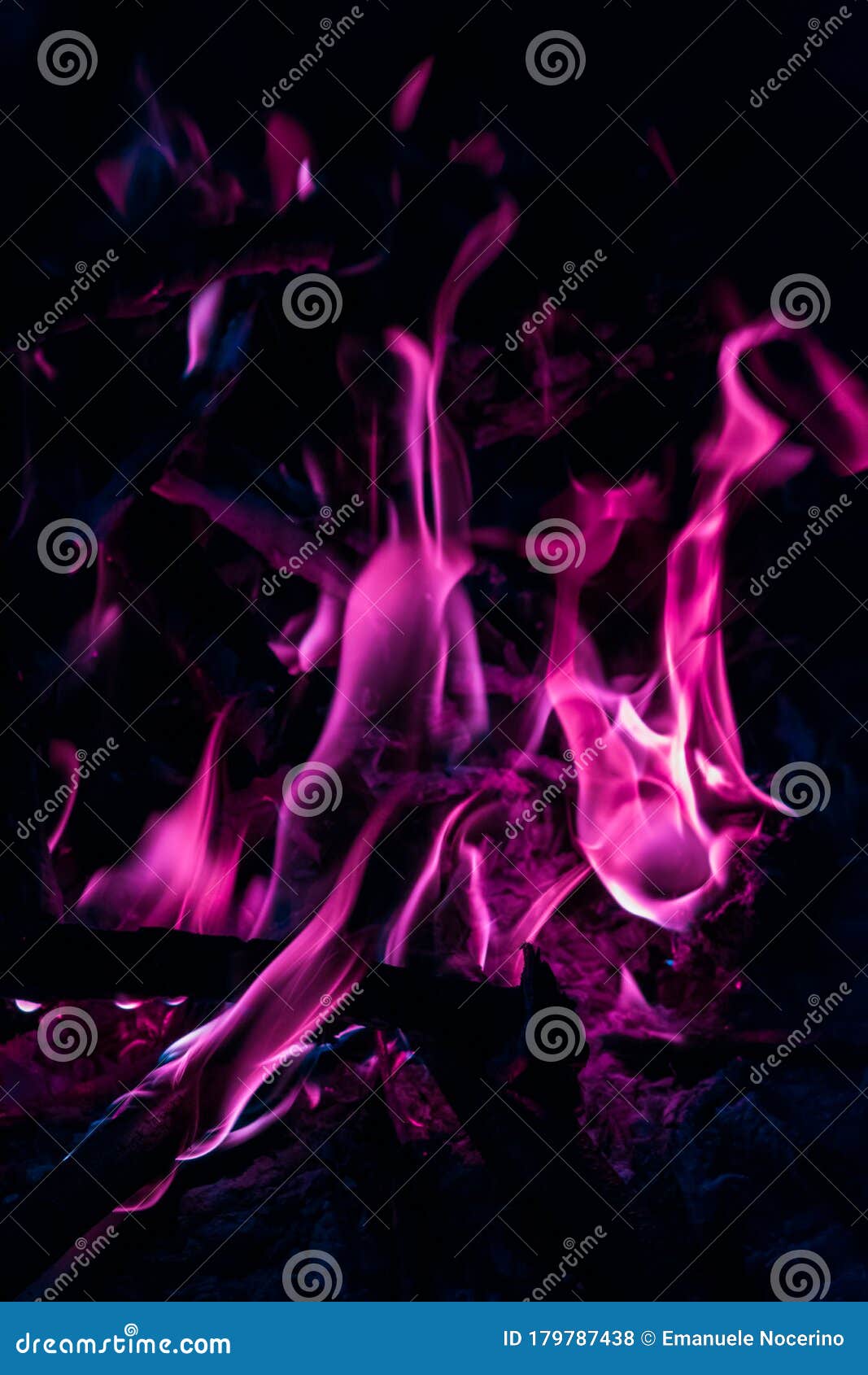 Close Up on Alive Magenta Flames Stock Photo - Image of campfire ...
