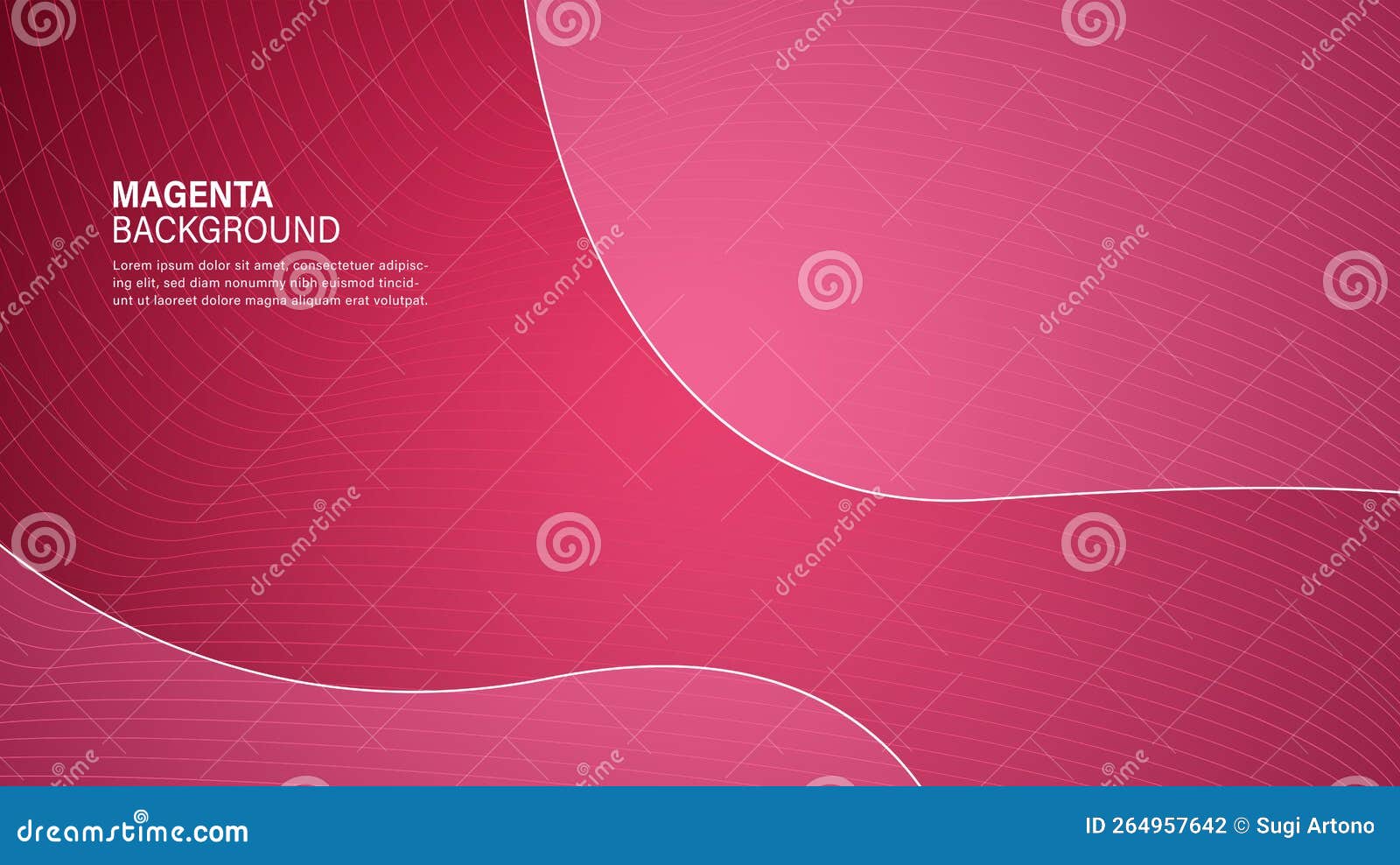 Magenta Gradient Background With Lines For Banner, Texture. Vector ...