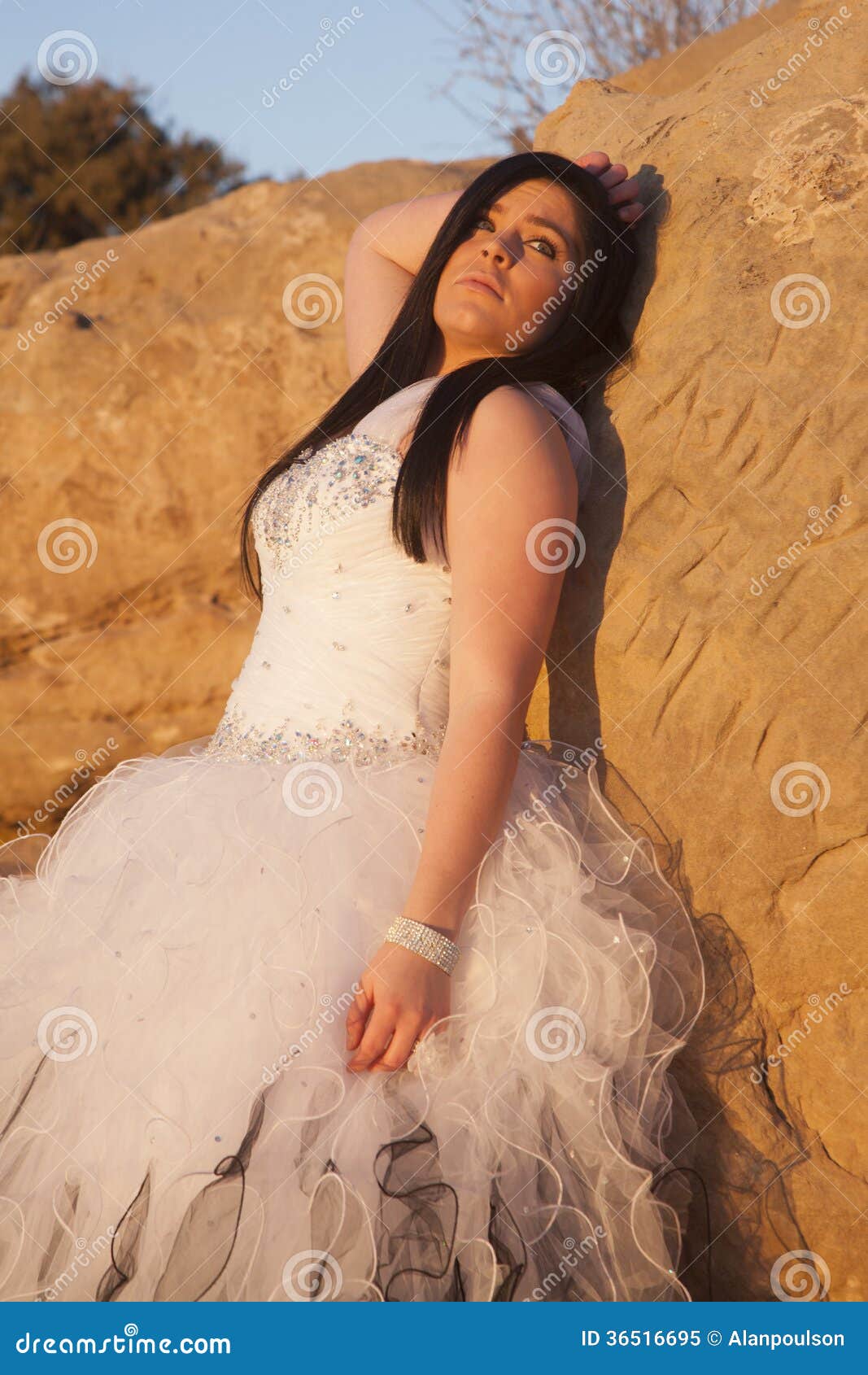 Magere Rug Van Vrouwen De Formele Rotsen Stock Afbeelding - Image of ...