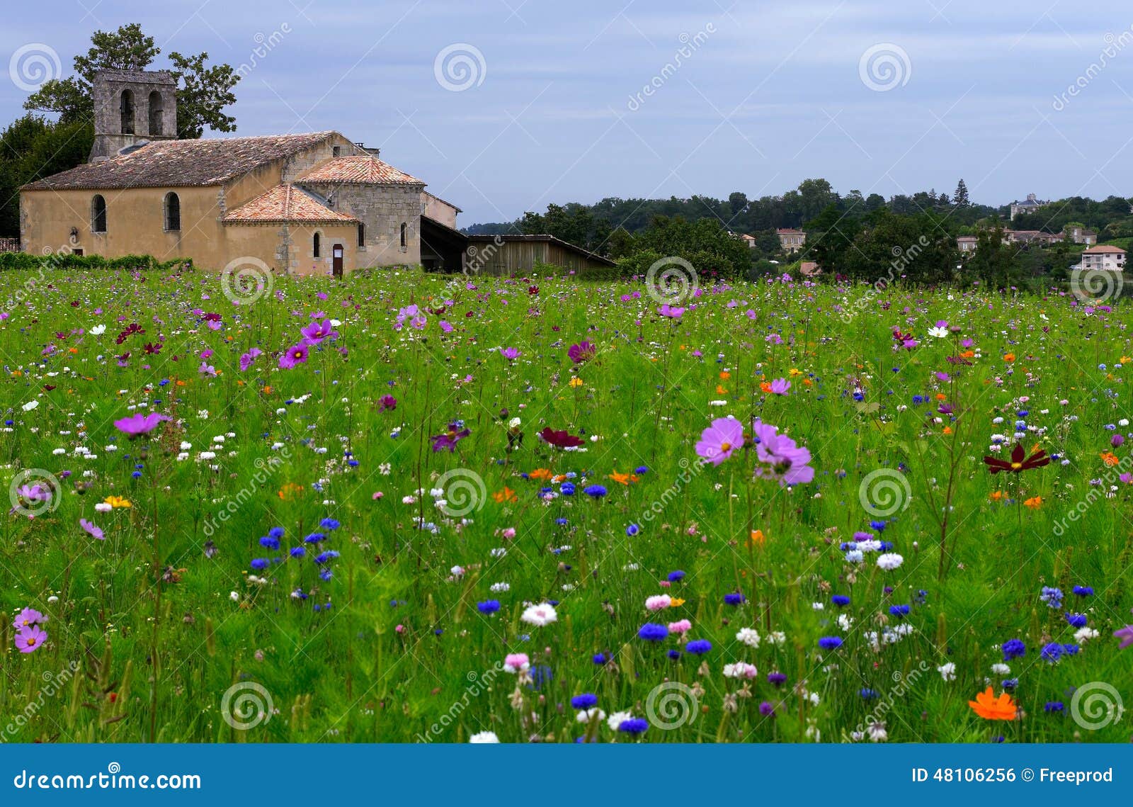 Maggesi Del Campo Di Fiore E Di Churche Fotografia Stock - Immagine di ...