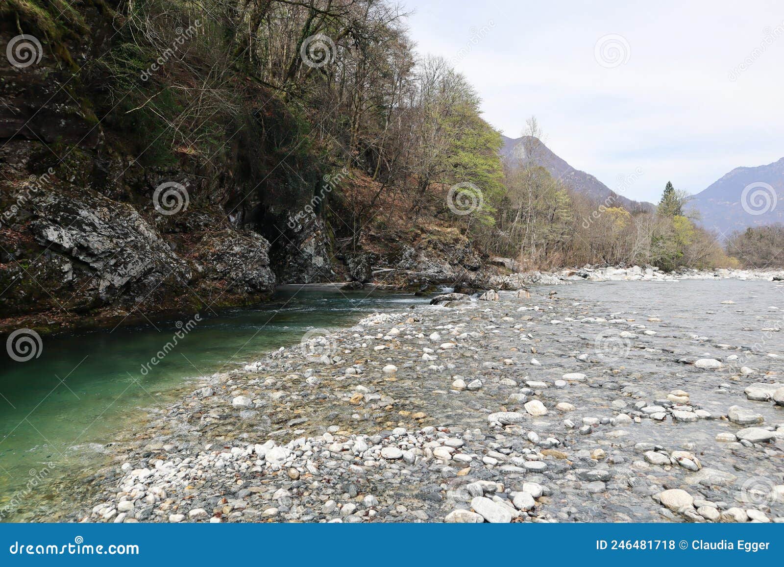 The Maggia River Flowing through the Maggia Valley in the Ticino in ...