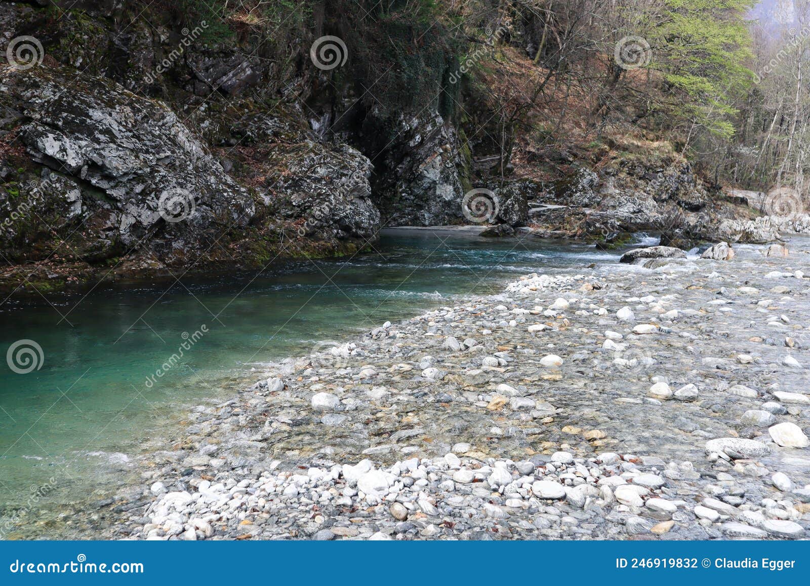 The Maggia River Flowing through the Maggia Valley in the Ticino in ...