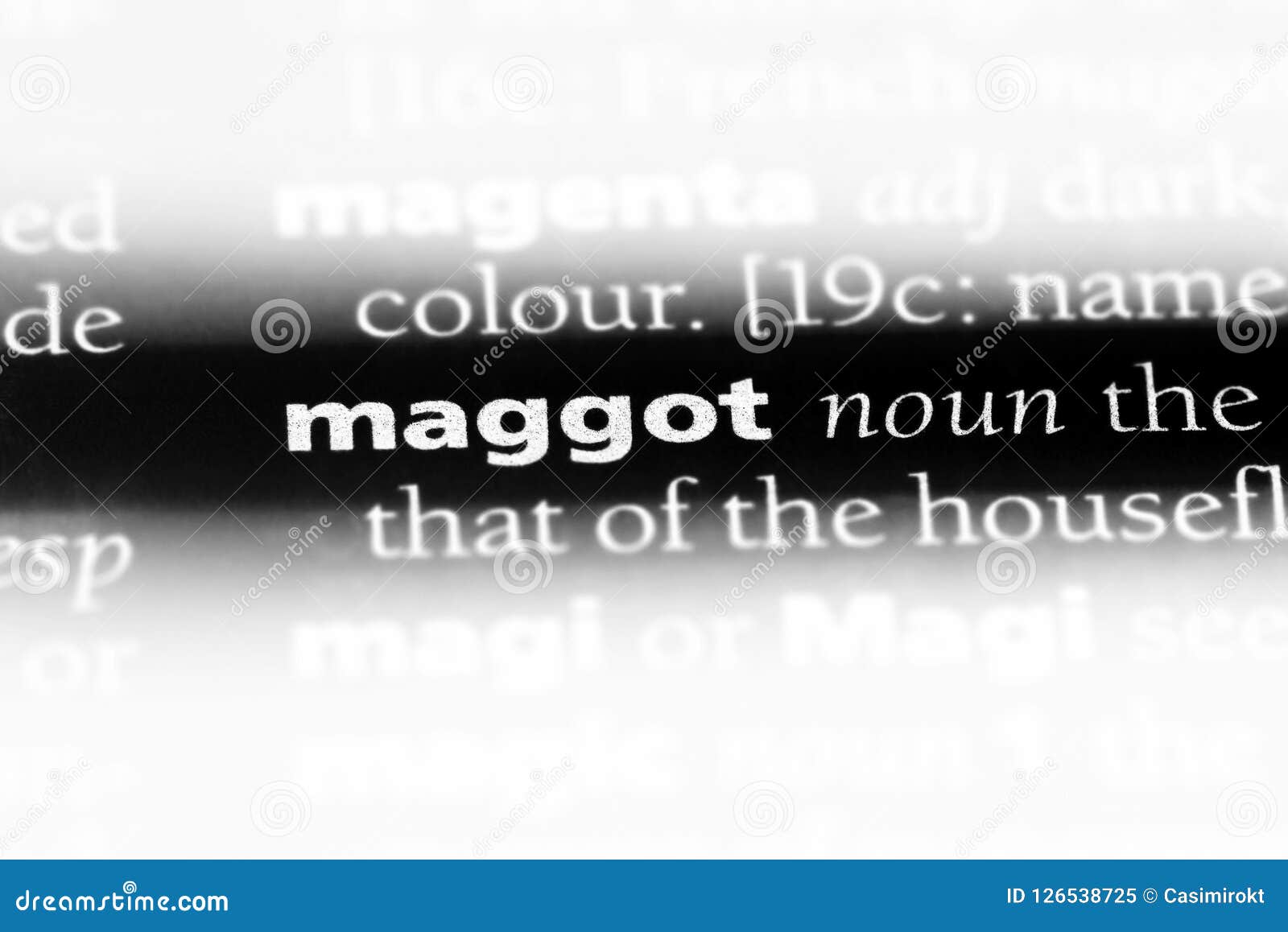 Maggot stock image. Image of dictionary, info, book - 126538725