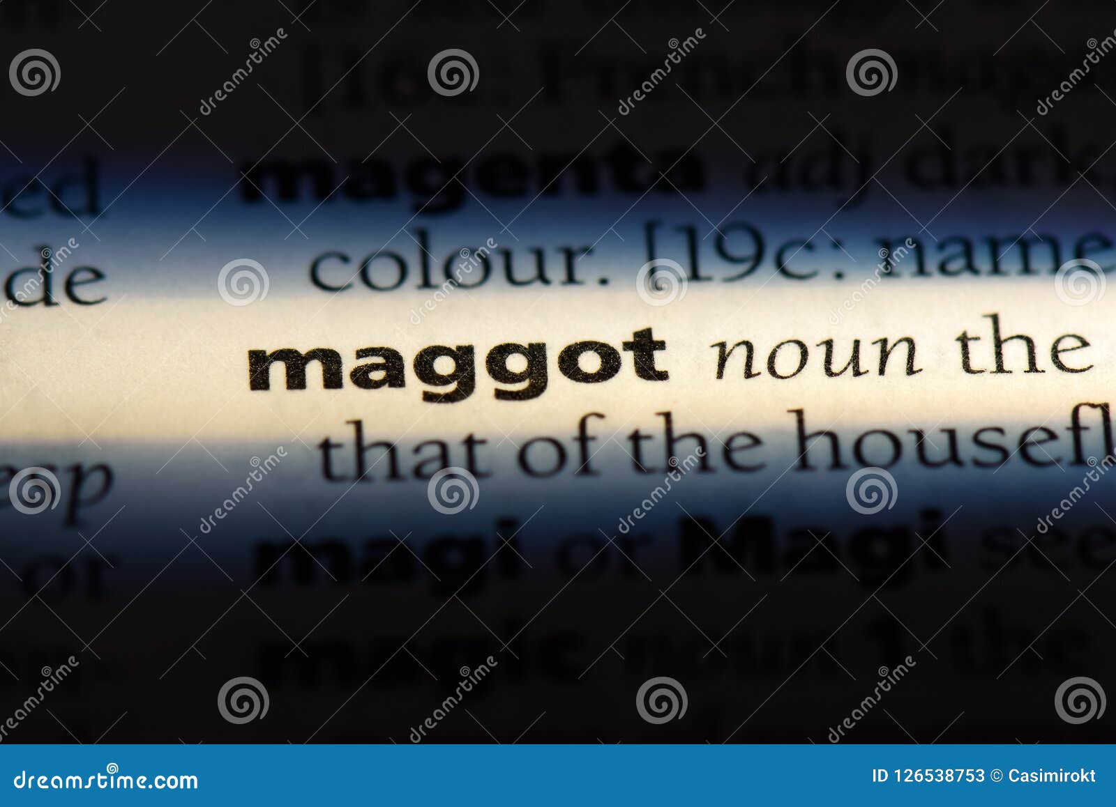 Maggot stock image. Image of macro, text, isolated, english - 126538753