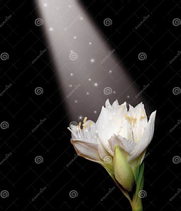 Magic from above stock image. Image of help, magic, life - 13743215